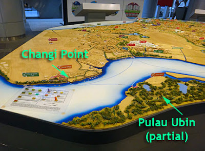 wild shores of singapore: Pulau Ubin and northern shores in the Draft ...