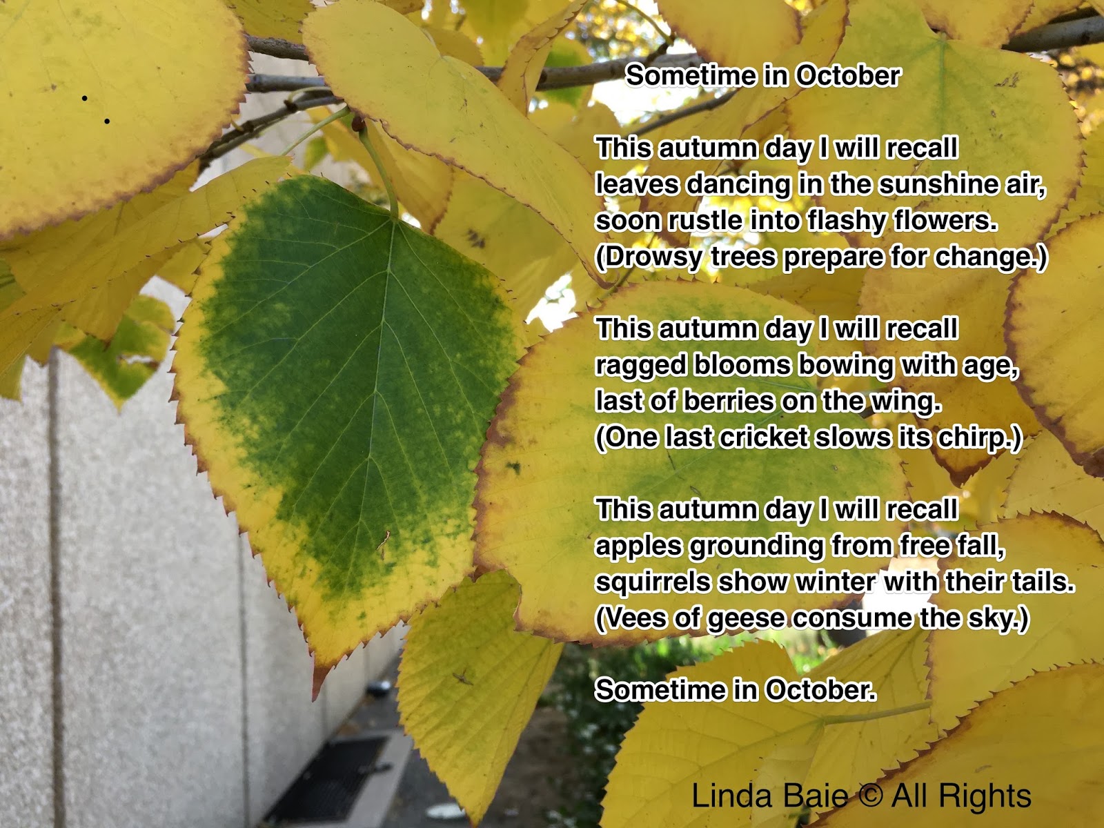 TeacherDance: Poetry Friday - October Goodbye