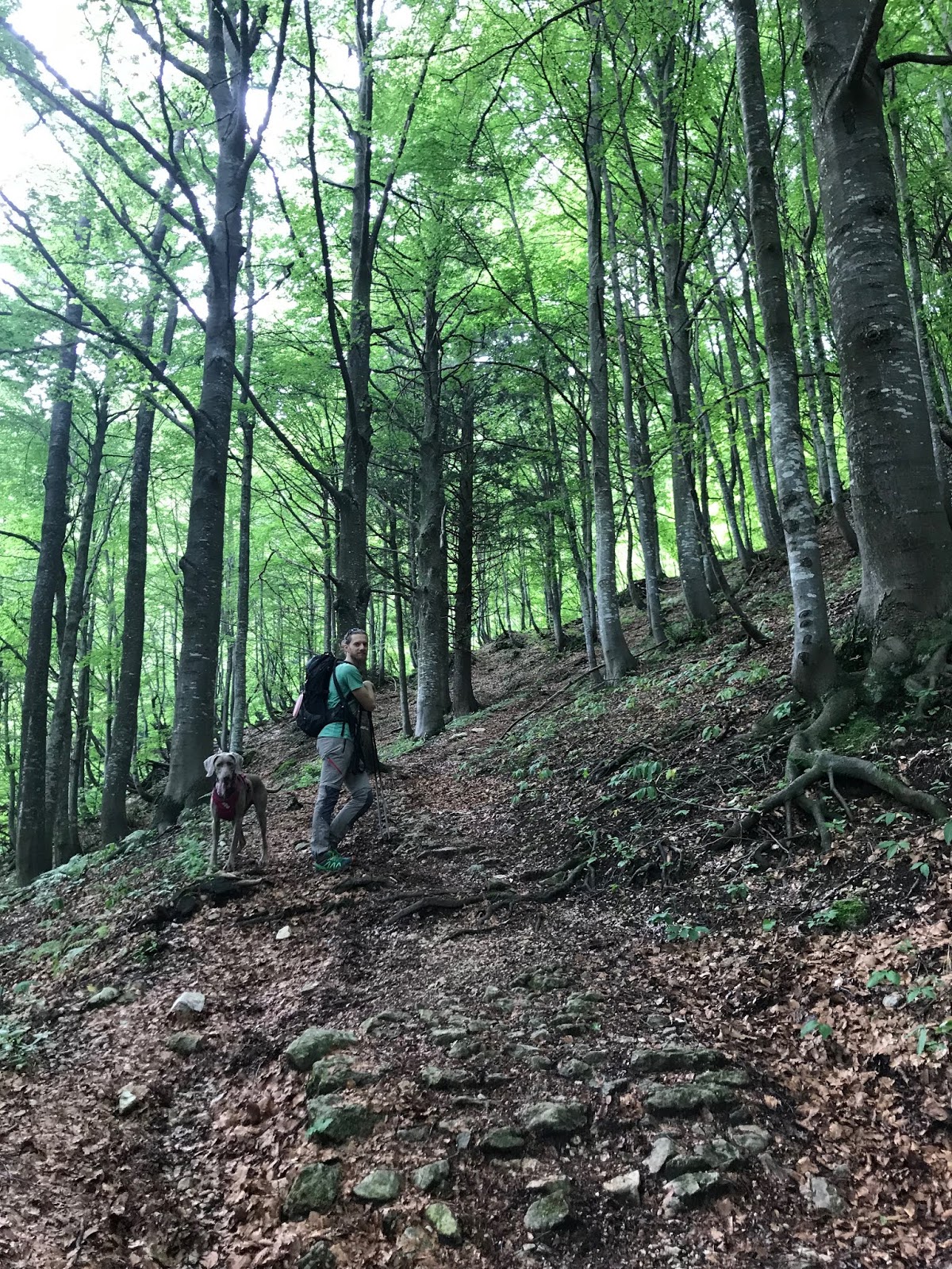 La strada dei re: il ponte tibetano nelle valli del Pasubio