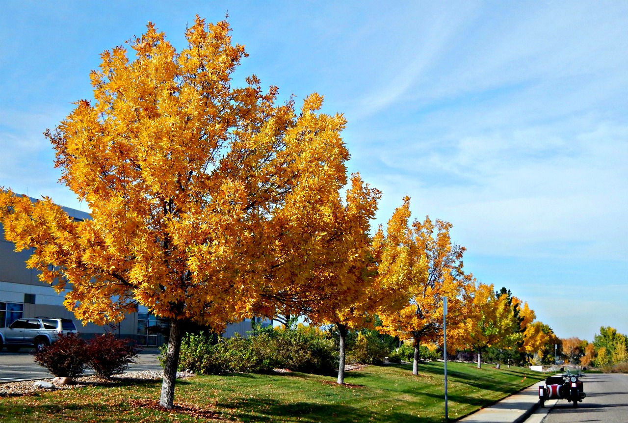 A Redleg's Rides: Fall Colors in the Denver Metro Area
