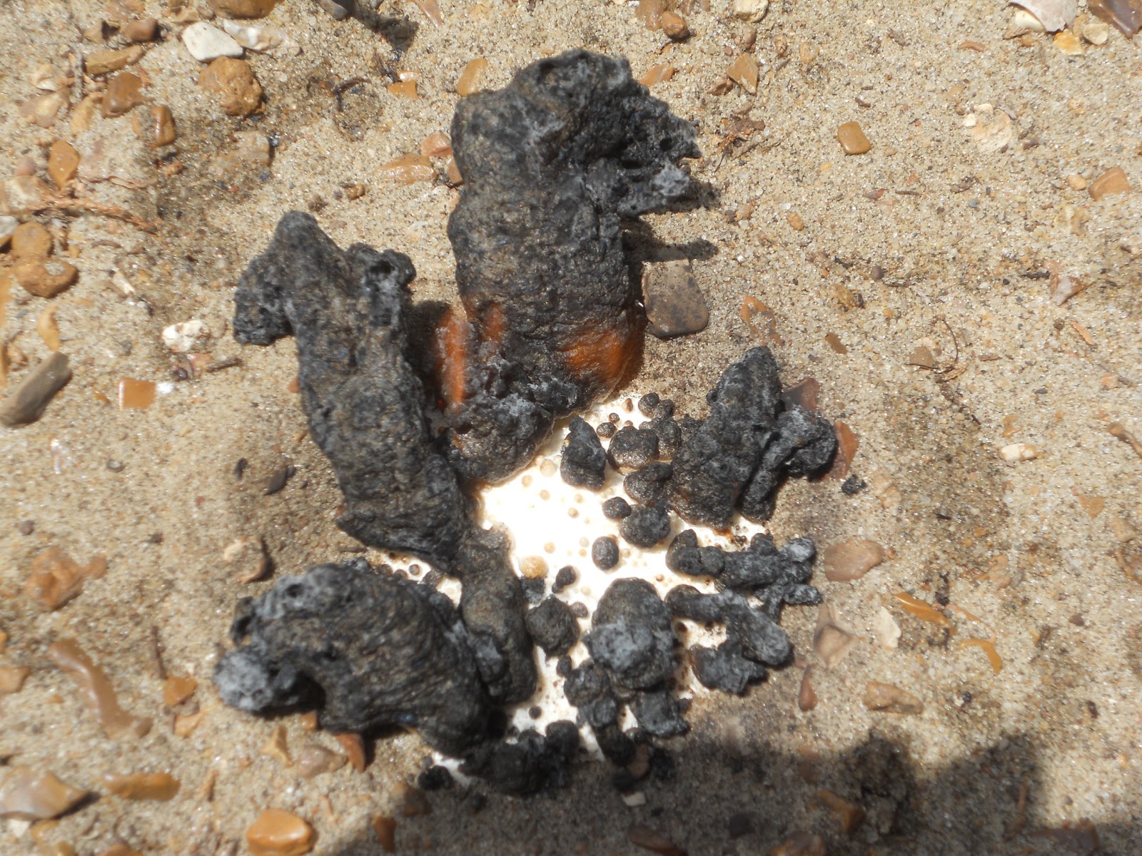 DIY Black Snake Fireworks with FREEBIE - SSSTeaching