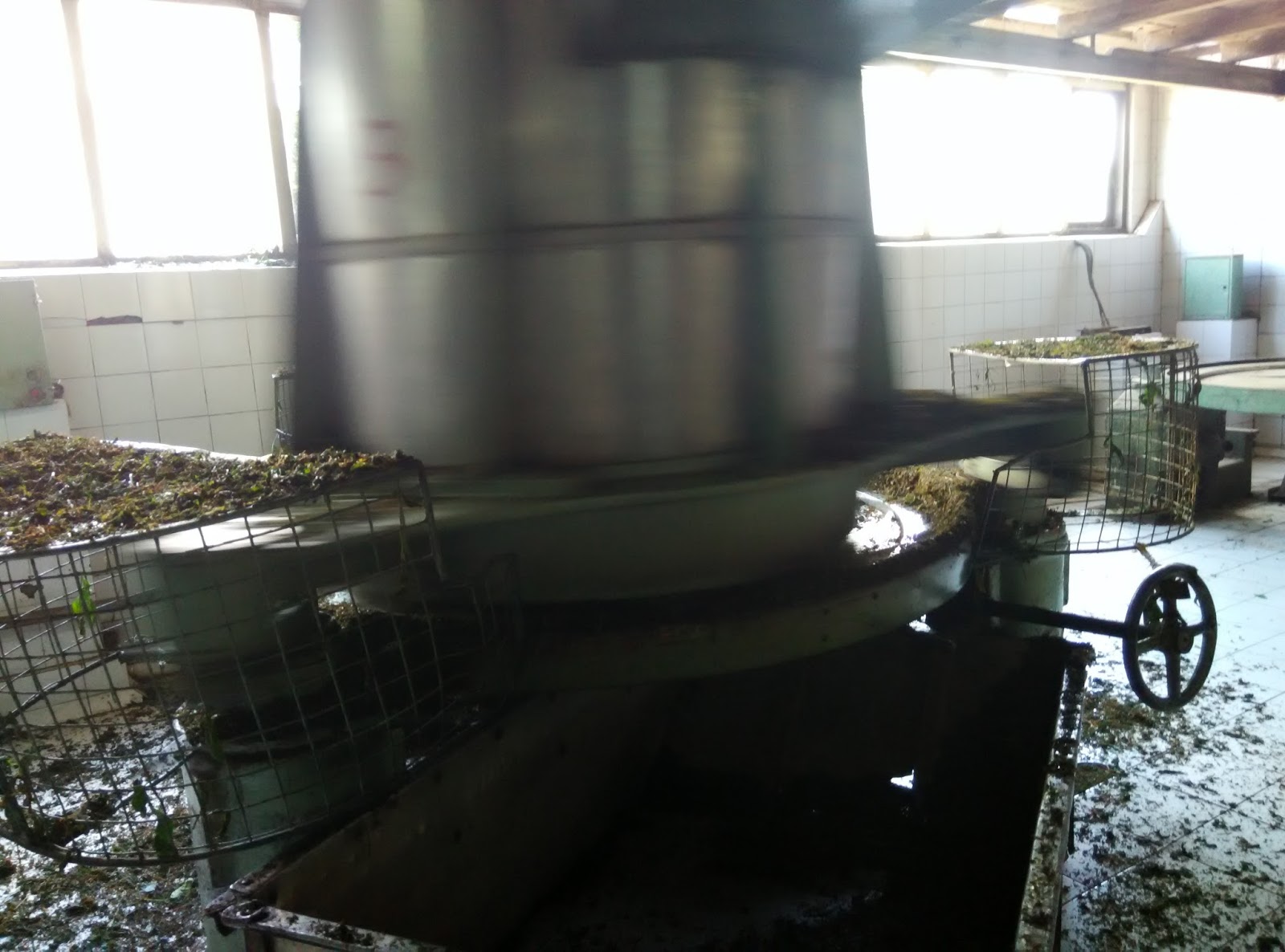 Open Top Roller | Mesin Pabrik Teh