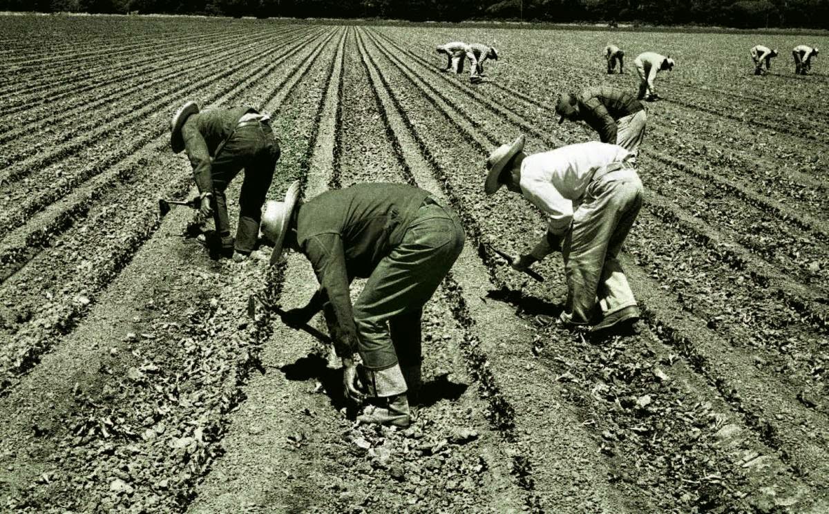 The '60s at 50: Thursday, December 31, 1964: Bracero program