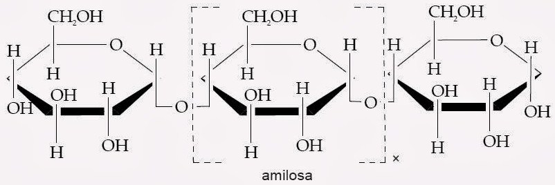 Perbedaan dan Persamaan Amilum dan Selulosa | iongCID