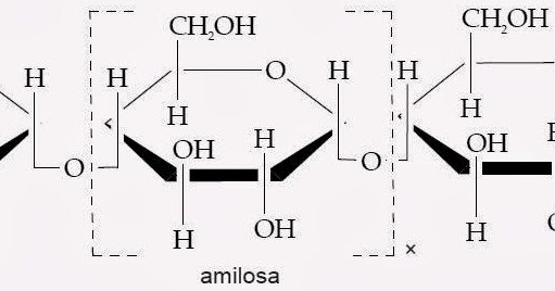 Perbedaan dan Persamaan Amilum dan Selulosa | iongCID