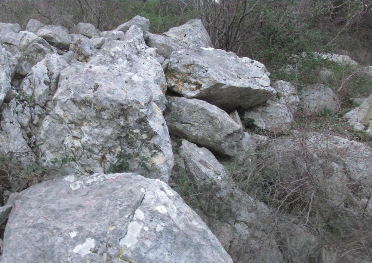 NEVJEROJATNO: OGROMAN ILIRSKO-HELENISTIČKI GRAD DREVNIH DAORSA KRIJE SE ...