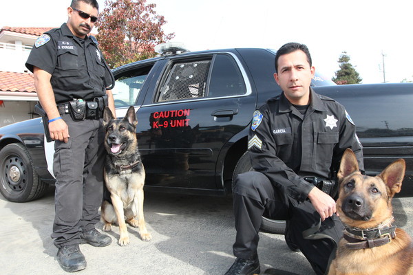 Santa Cruz Police: Photos of Police K9 Program