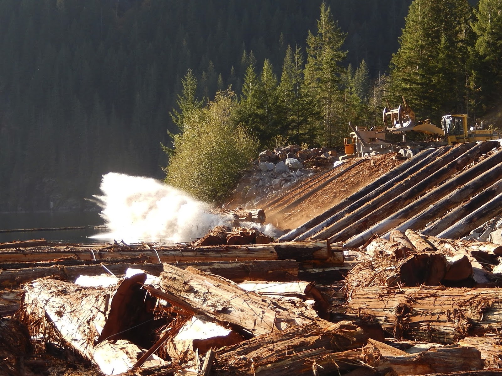 Margy Meanders: Log Hauling in British Columbia