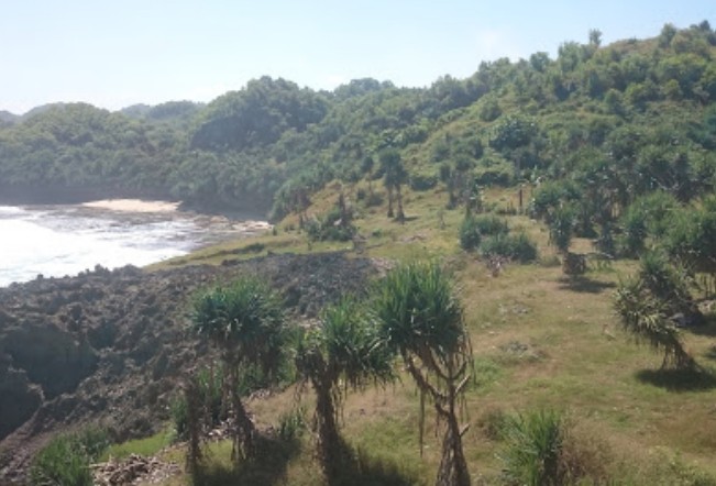 Pesona Keindahan Wisata Bukit Patuk duwur di Sapto Sari Gunung Kidul ...