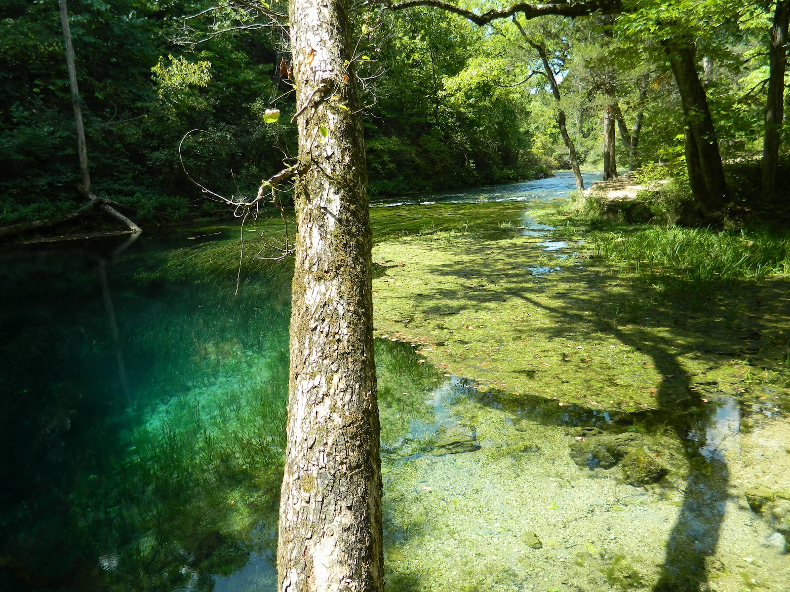Climbin' Up The Mountain: Is one of these Missouri Springs the Waters ...