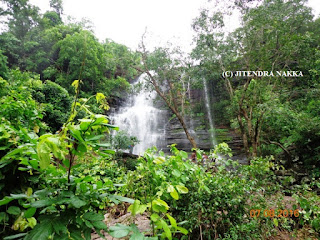 Chingra-pagaar Waterfall, Baruka, Gariyaband ~ Quest Chhattisgarh ...