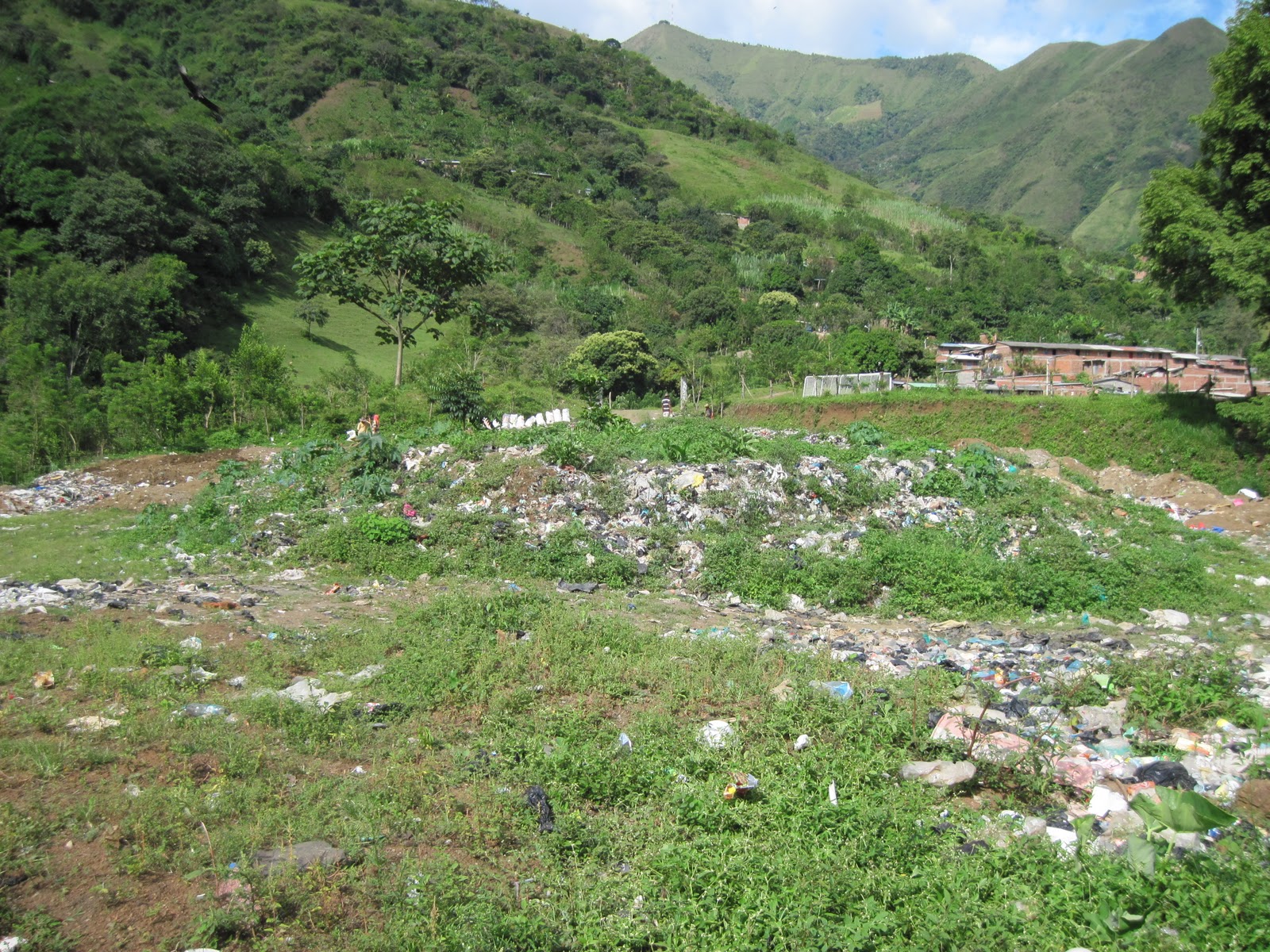 MUNICIPIO DE PEQUE: HISTORIA DE LOS SERVICIOS PÚBLICOS DE PEQUE