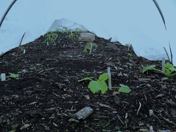 Missouri Beginning Farming: Extending the Season and Increasing Quality ...