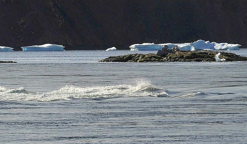 Northwest Passage 2013: Remembering the graphic history at Fort Ross ...