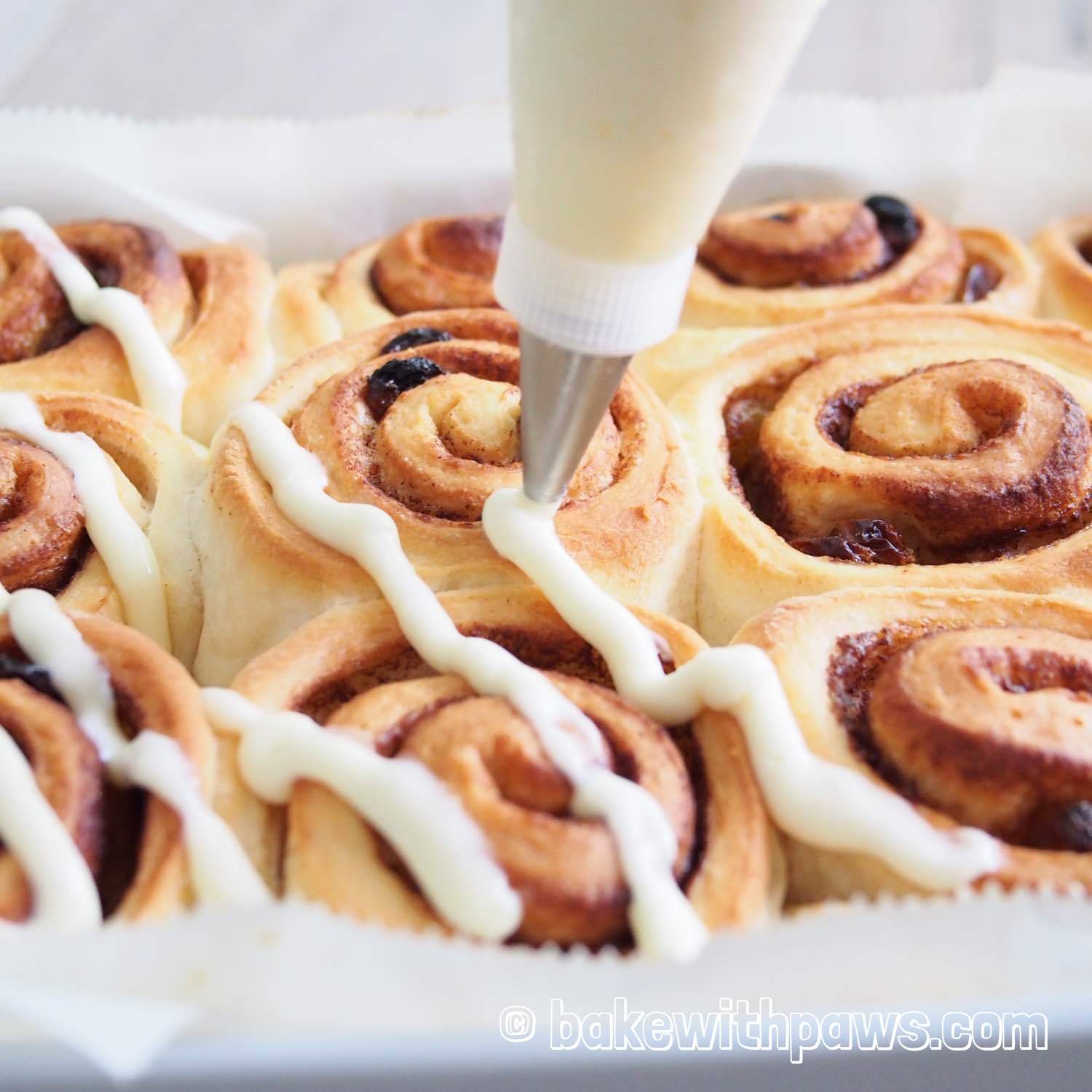 Cinnamon Rolls - BAKE WITH PAWS