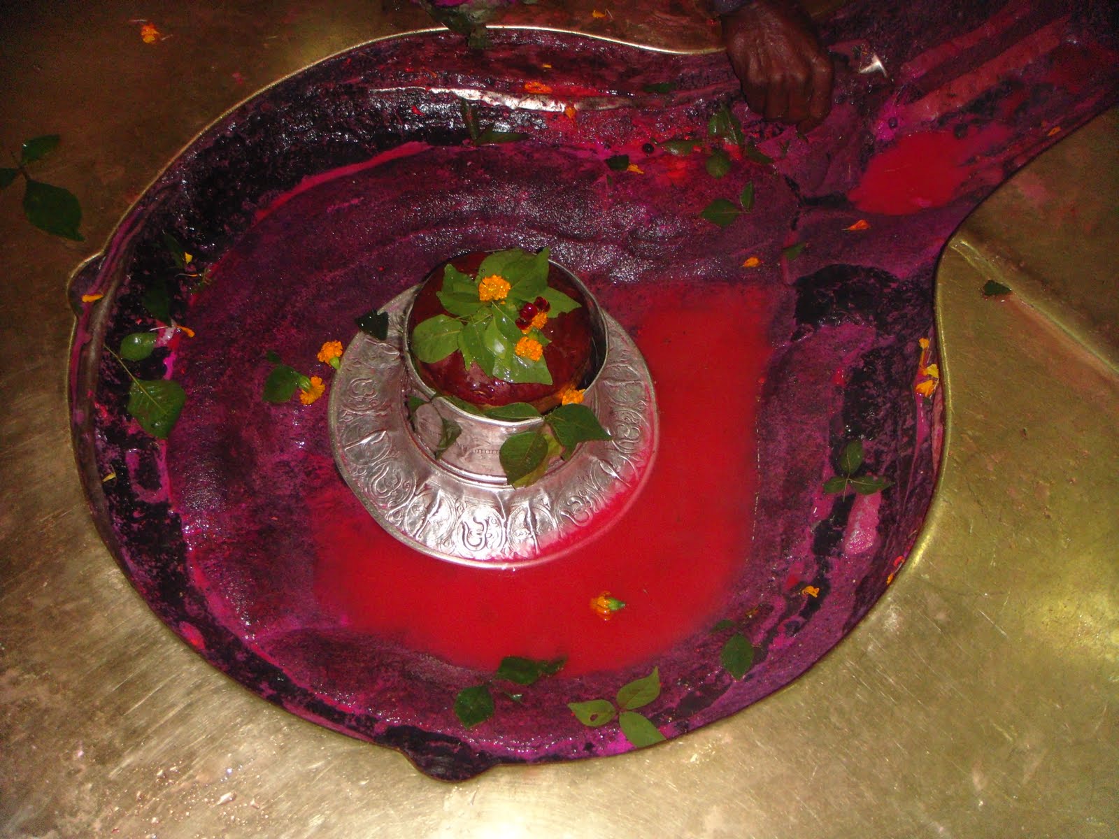 baba basukinath: JAI BABA BASUKINATH