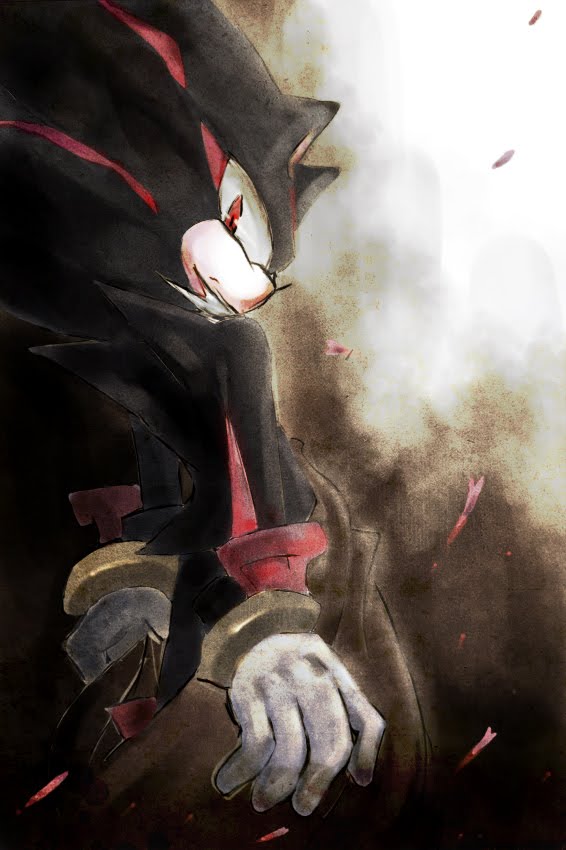 Una Historia ShadAmy: 1- Lo Conocí