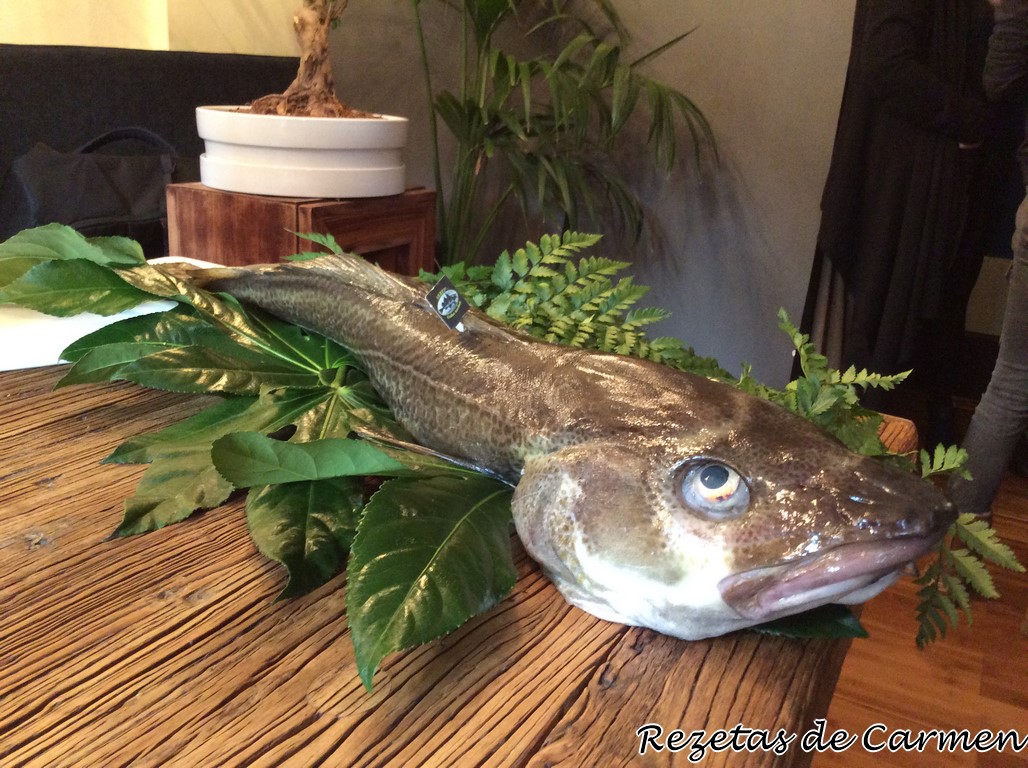 Ruta gastronómica del Skrei