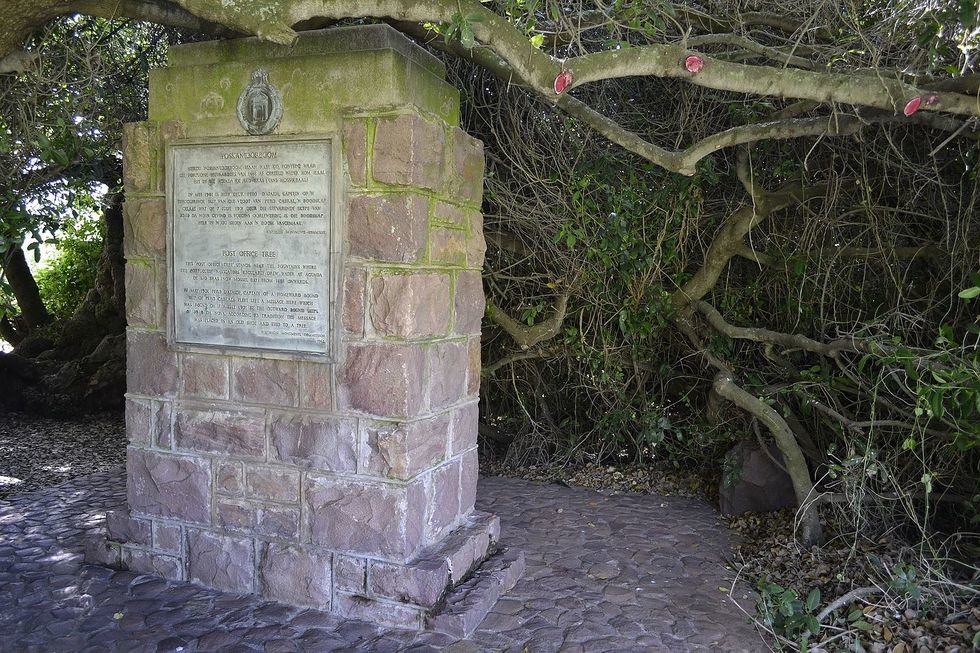 Lisa's World: The Post Office Tree