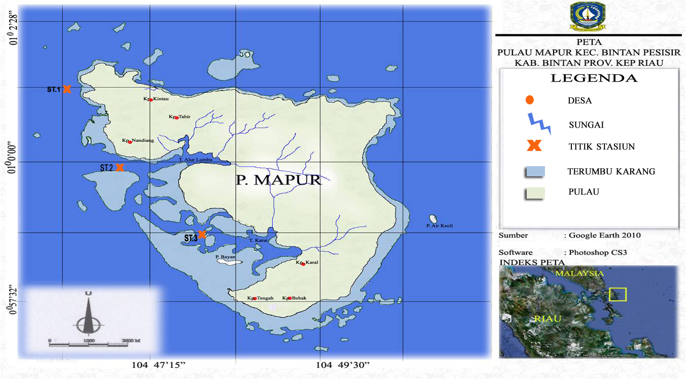 Ponal: skripsiku: DISTRIBUSI KIMA (Tridacna spp) DI PERAIRAN PANTAI ...