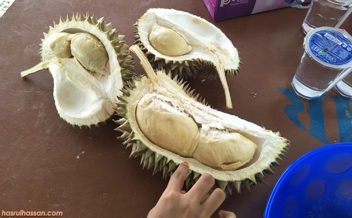 Syok Makan Buah Durian Segar di Farm Stay Relau, Bandar Baharu