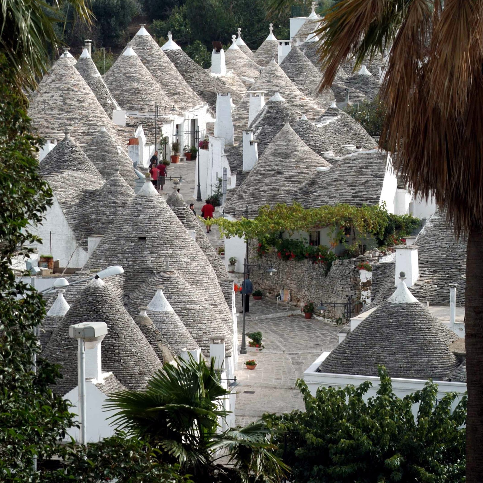 ellergy: ALBEROBELLO – ITALY'S HOBBITON