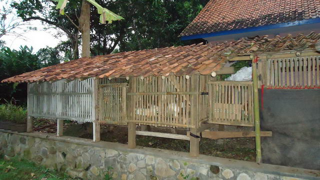 Contoh Kandang Kelinci dari Bahan Kayu dan Bambu - ASEVHA Blog ...