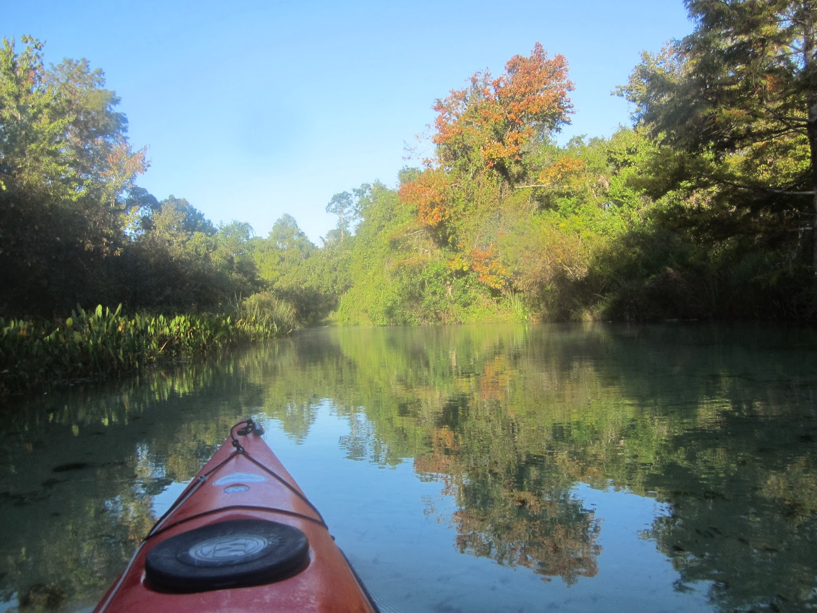 Dave's Yak Tales: Weeki Wachee, Mud River, and Salt Spring