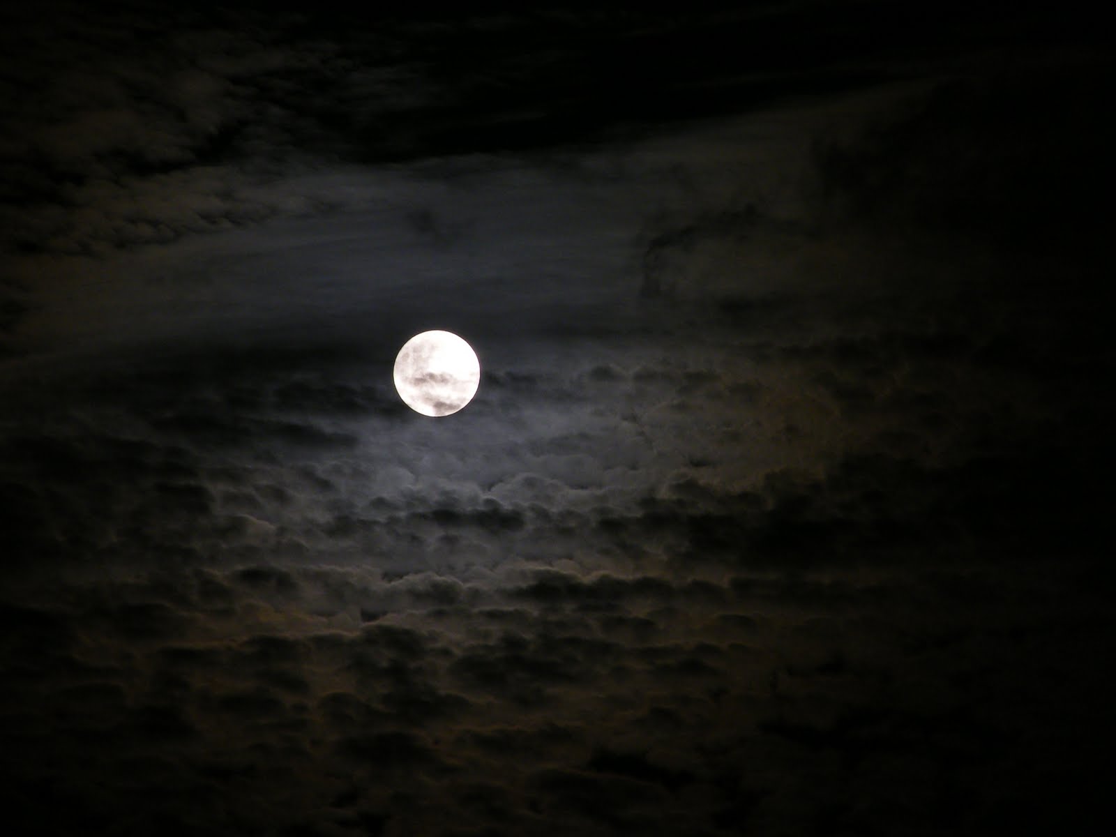 Nina Karina : Reflexo de um luar