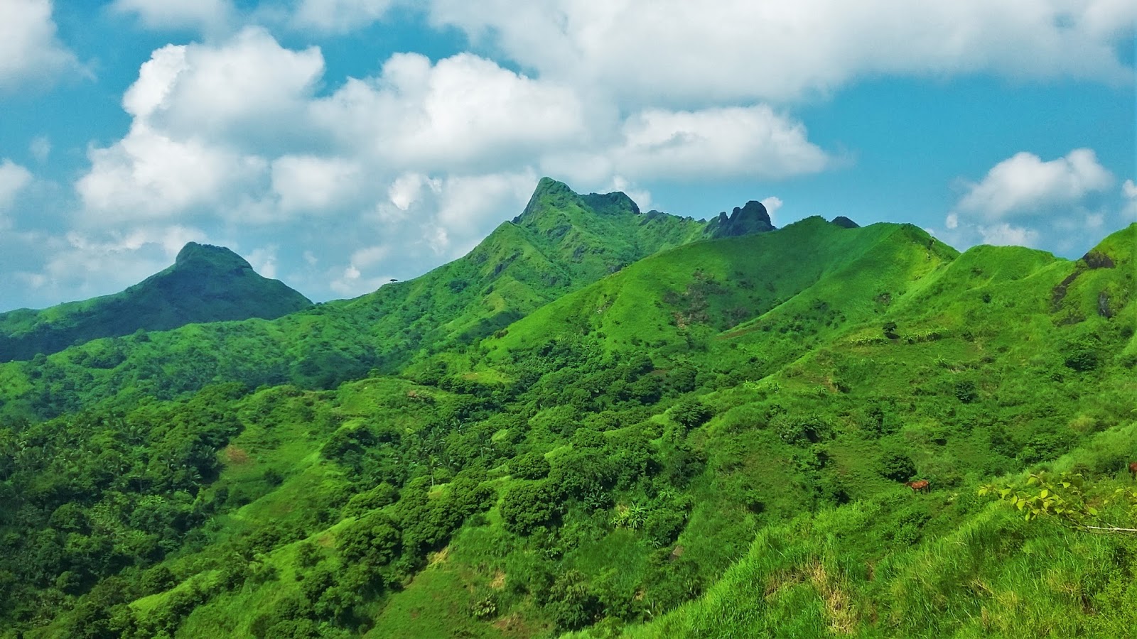 How To Life: Conquering Mt. Batulao