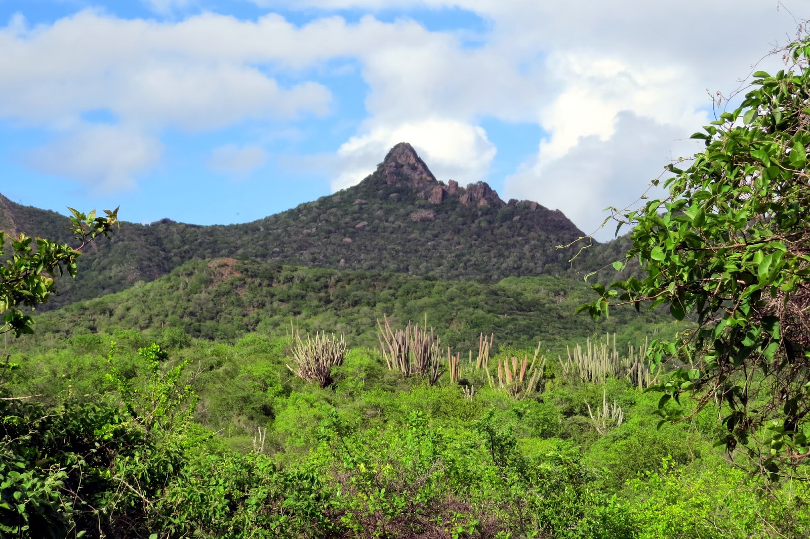 Hiking Curaçao - The Trails: Safaritocht Christoffelpark - Zevenbergen ...