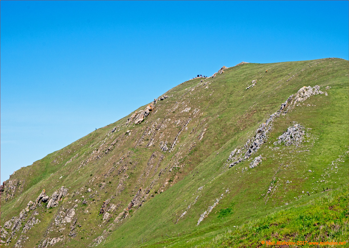 San Francisco Bay Area Photo Blog: A ramble from the Warm Springs BART ...