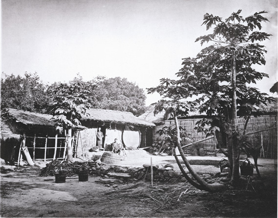 OLTRE IL MURO: ARTE e FOTOGRAFIA: JOHN THOMSON | PHOTOGRAPHER