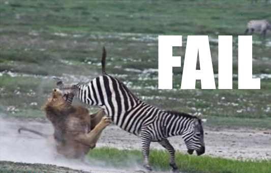 Lion Fail