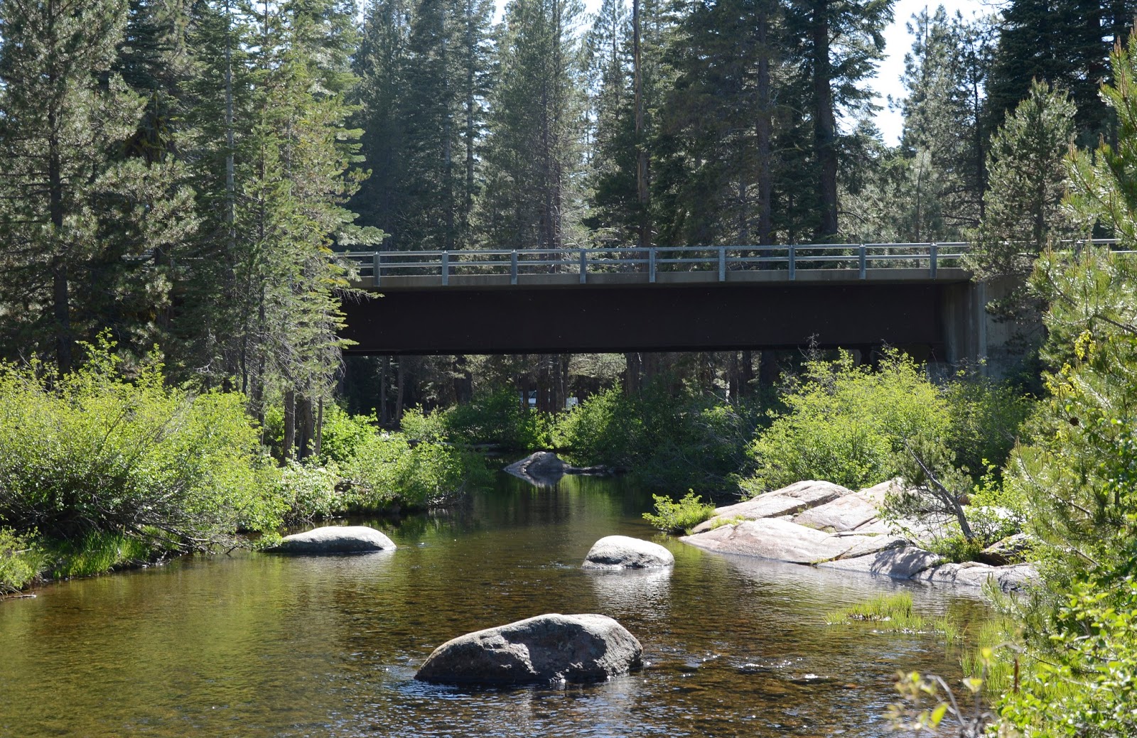 Bridge of the Week: Calaveras County, California Bridges; Spicer Meadow ...