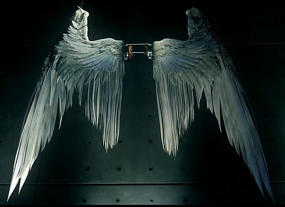 25 Excellent lucifer wings wall art You Can Get It Free Of Charge ...