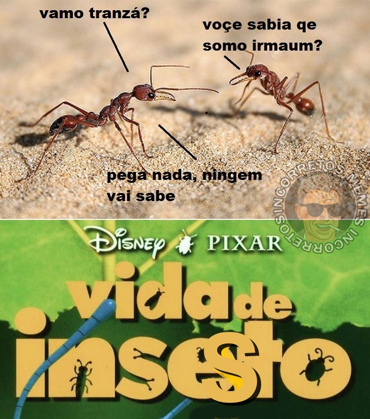 Memes: vida de inseto