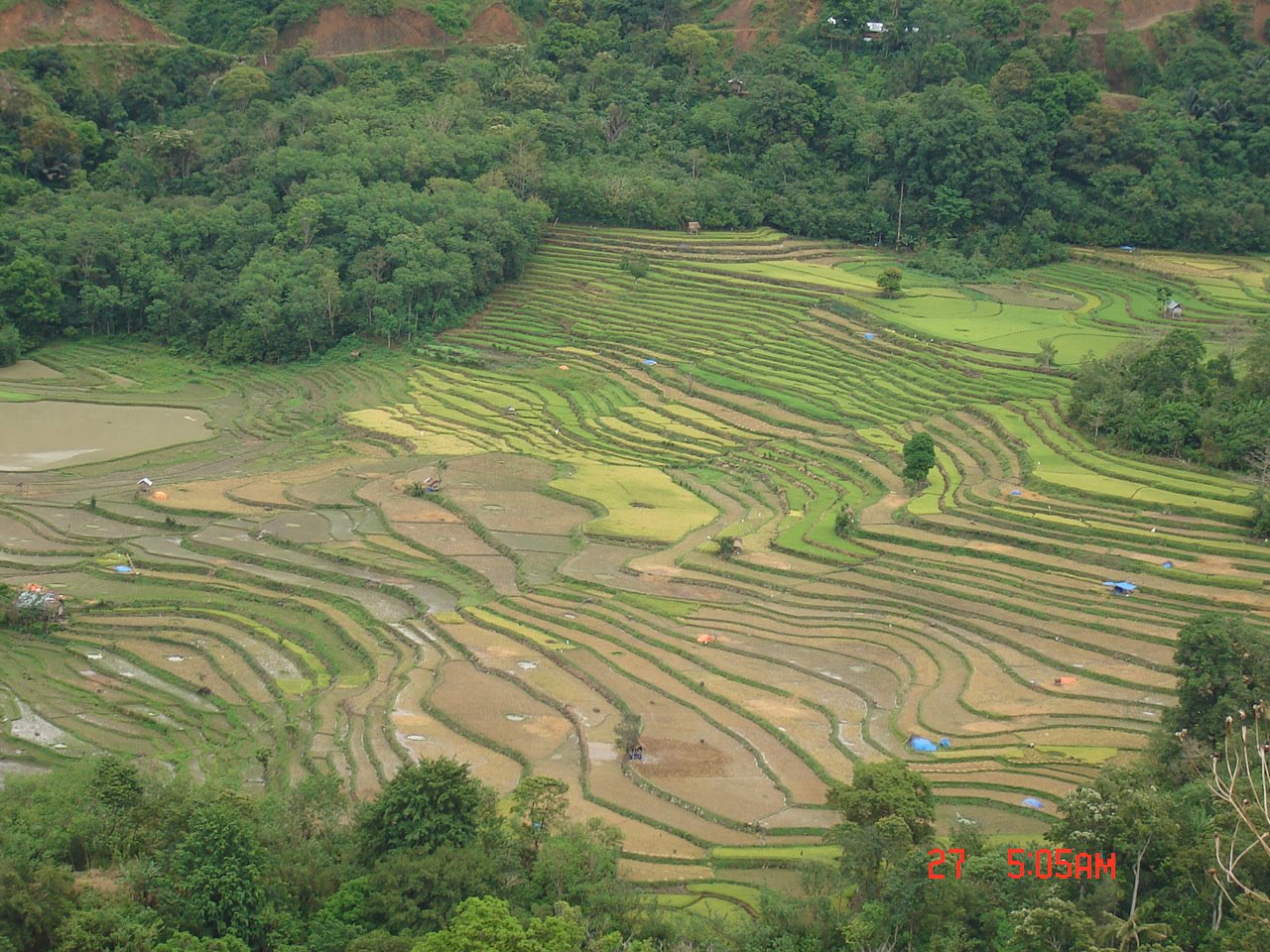 Kota Majene ~ Bumi Nusantara