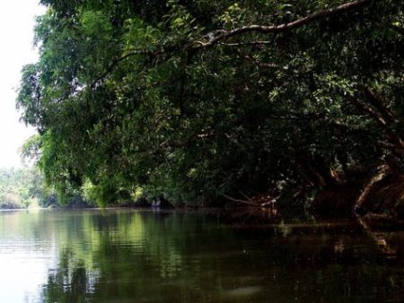 Kuruva Island ~ Kerala Tourism, Tourism in Kerala, Kerala Tourism,