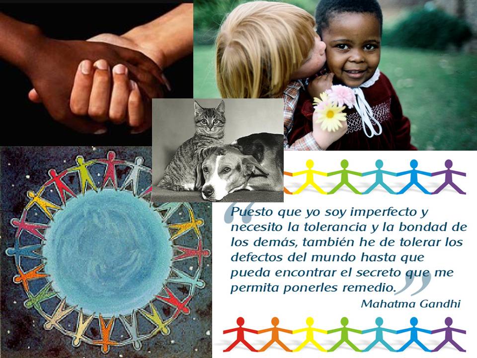 La importancia de la Fraternidad