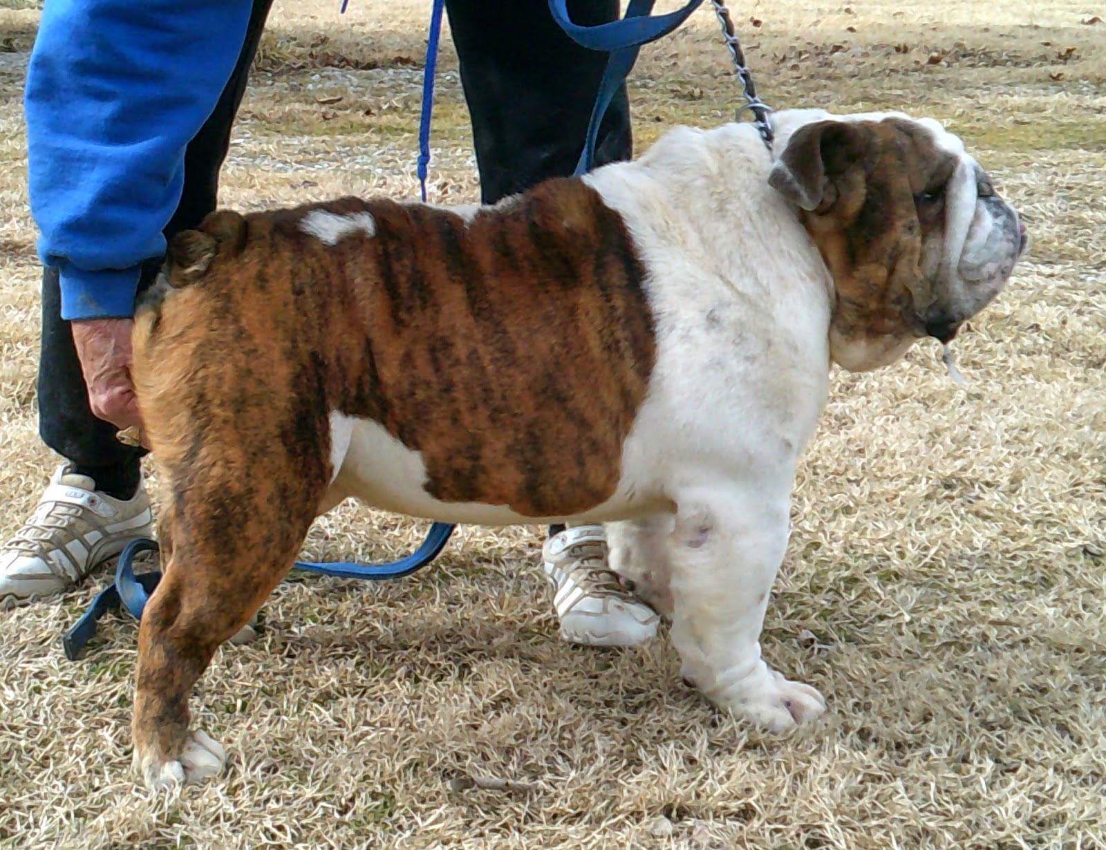 Cowboy Bullies: Hurricane Kys' Rajin' Cajun