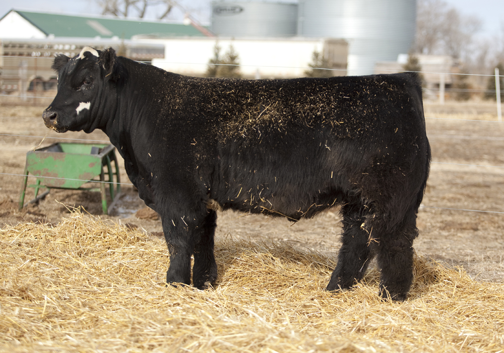 MITTAG Blog: From Wade Rodgers