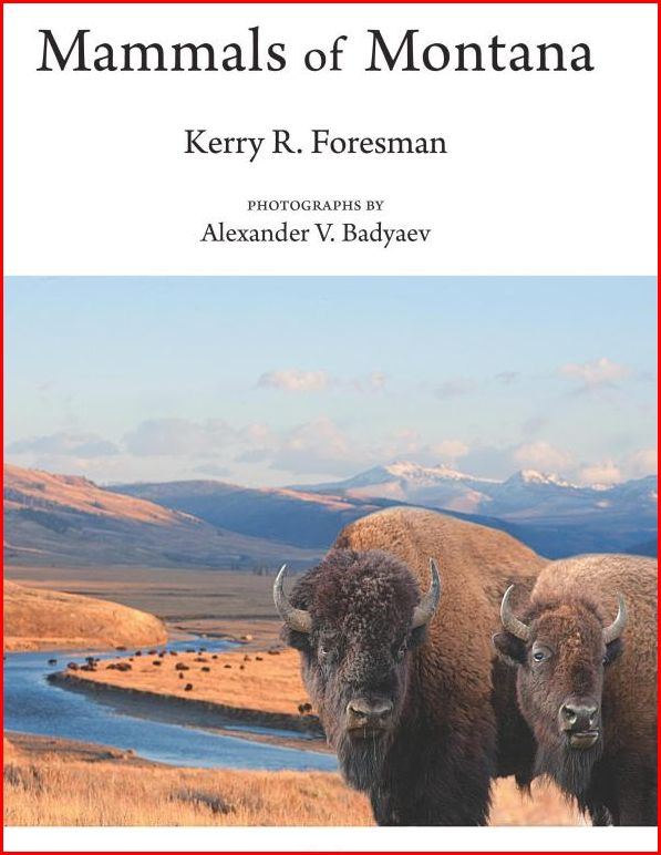 Wild and Free Montana: On the Bookshelf