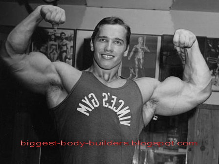 biggest body builders: biggest body builder Arnold Schwarzenegger