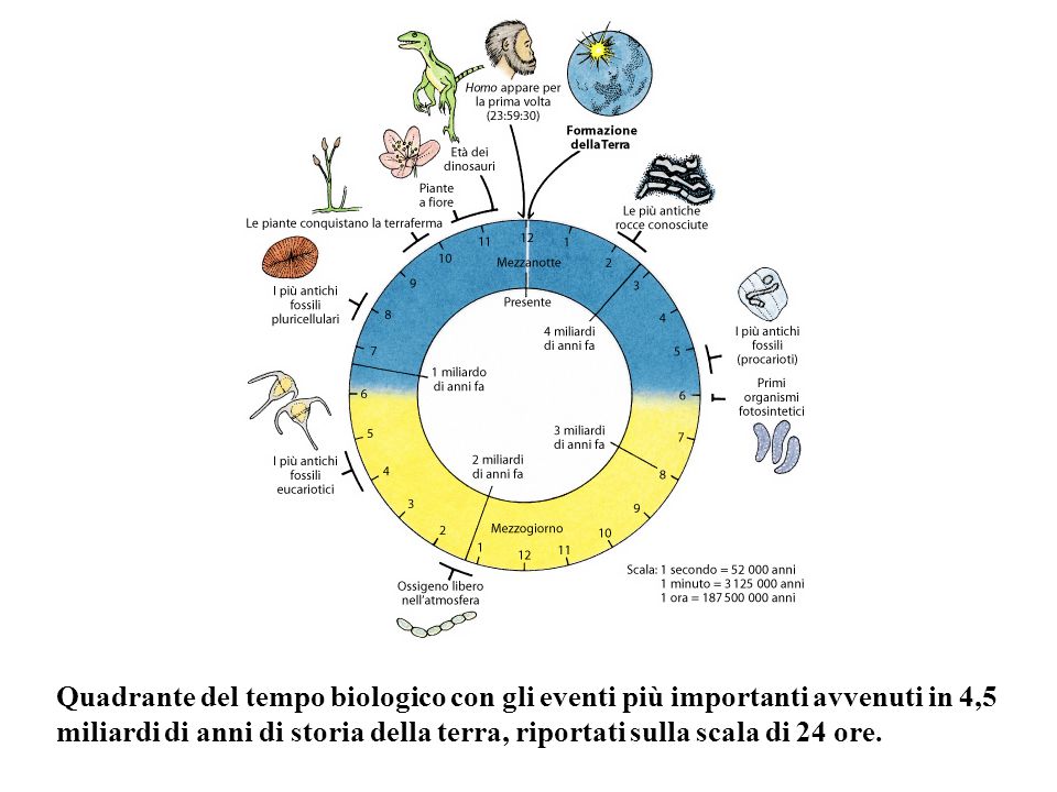 L'entusiasmo fa scuola: Cos'è la storia? Introduzione