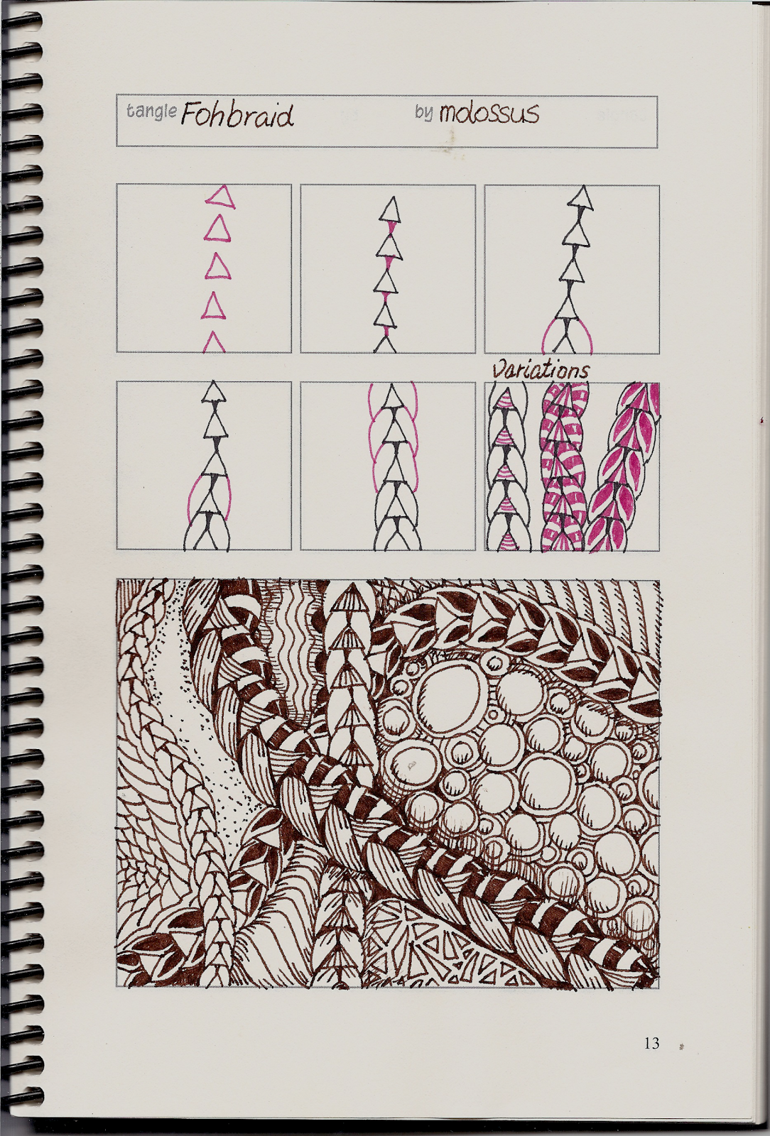 New tangle pattern Fohbraid