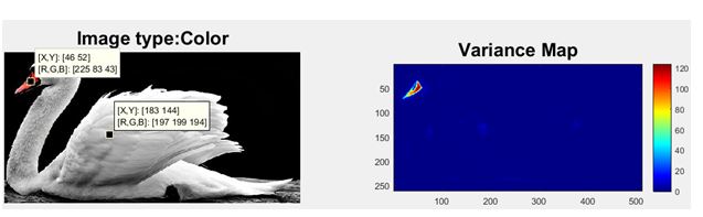 Image Classification - Black and White, Color | IMAGE PROCESSING