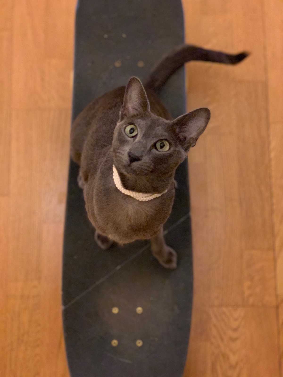 Loki fait du... skateboard