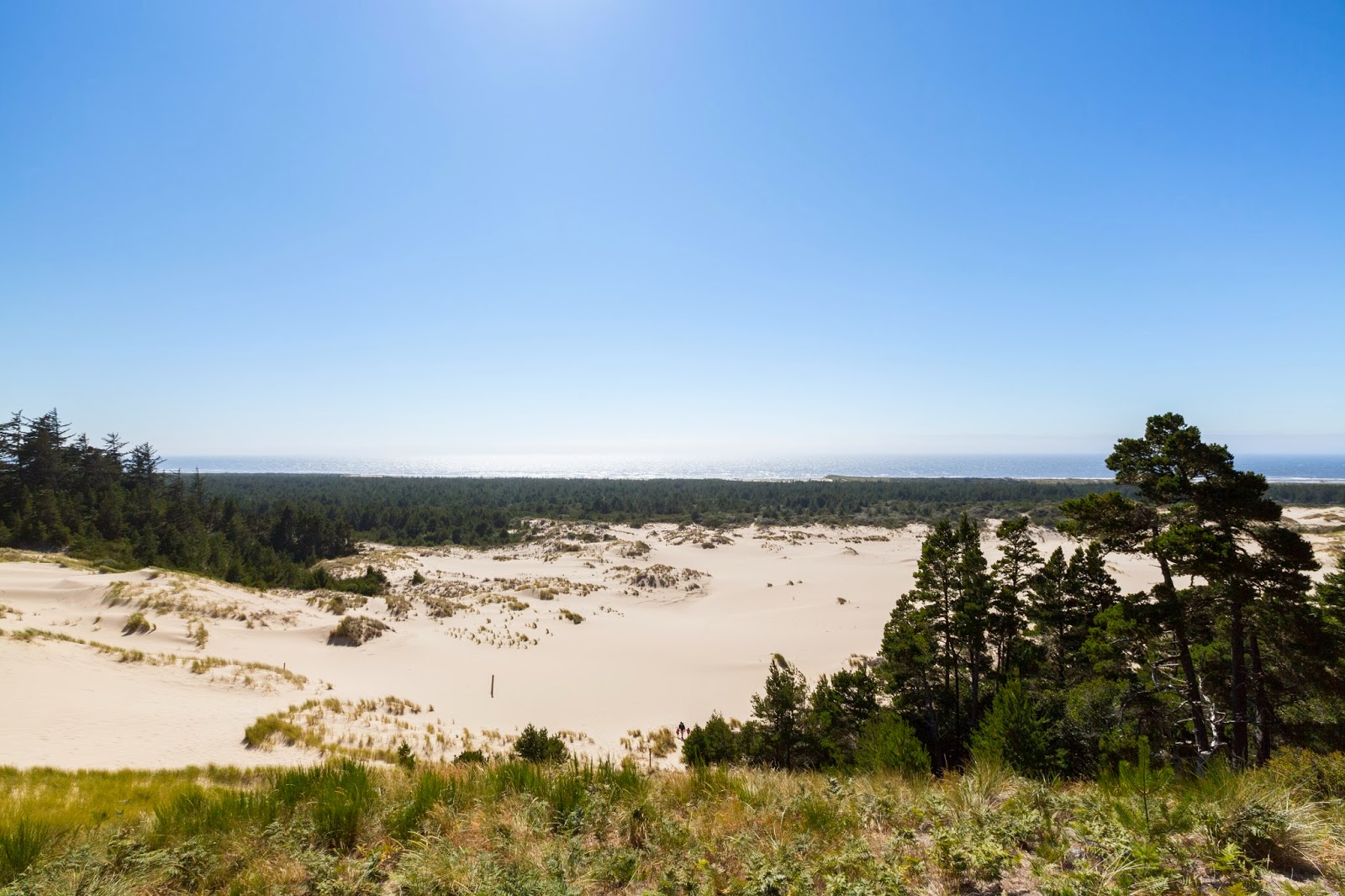 Naturetastic Blog: Oregon Dunes National Recreation Area, Umpqua River ...