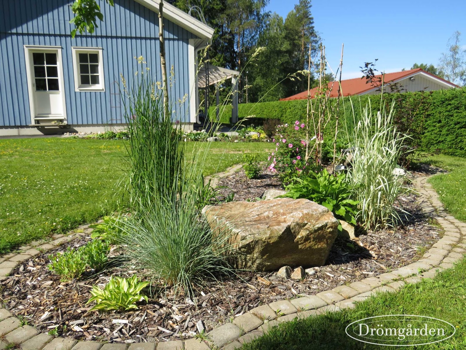 Drömgården: Rosen 'Poppius'